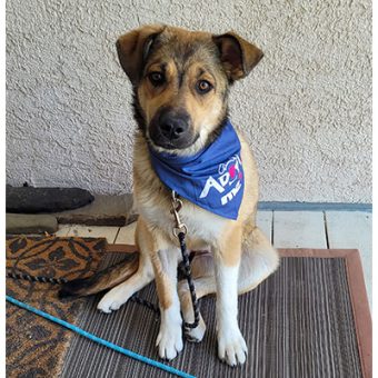 Adopt | Rocky Mountain Animal Rescue